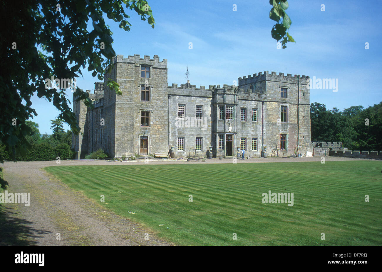 Chillingham Wild Cattle Chillingham Castle High Resolution Stock ...