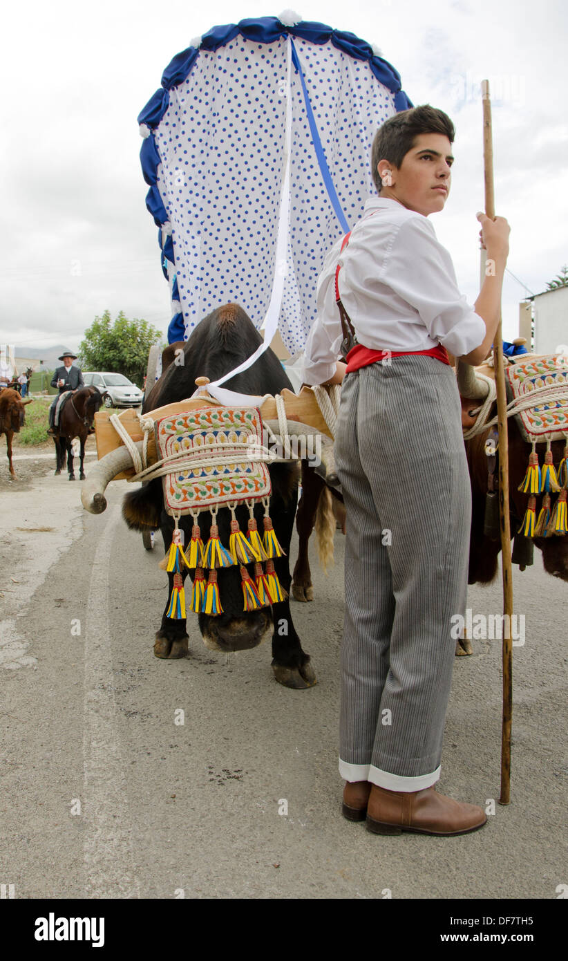 Ox carriage hi-res stock photography and images - Alamy