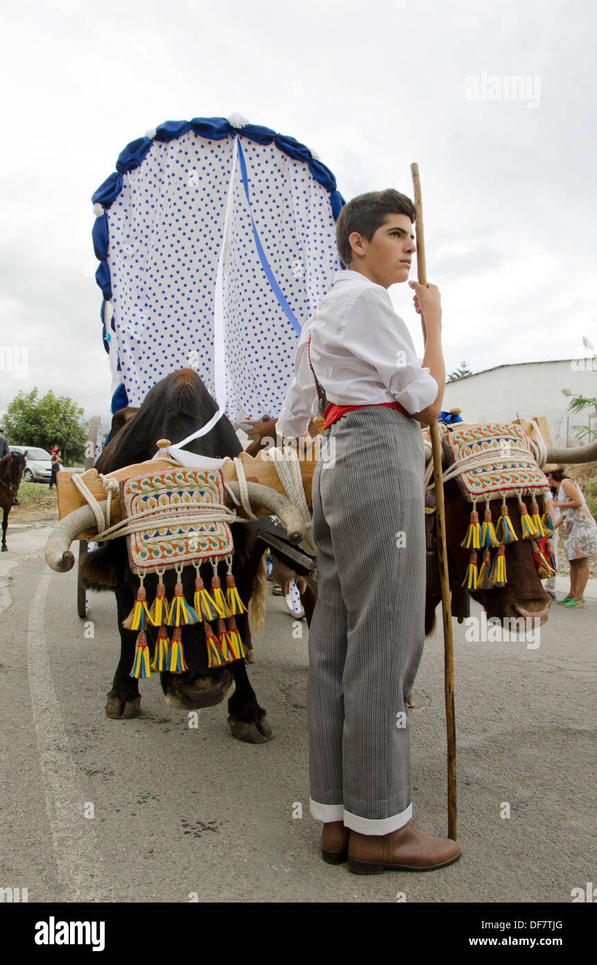 Young man in front of an ox carriage in an andalusian romeria or ...