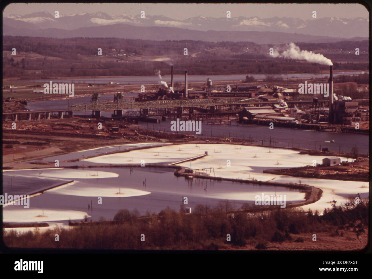 The pulpage waste water treatment lagoons on the Snohomish Estuary are ...