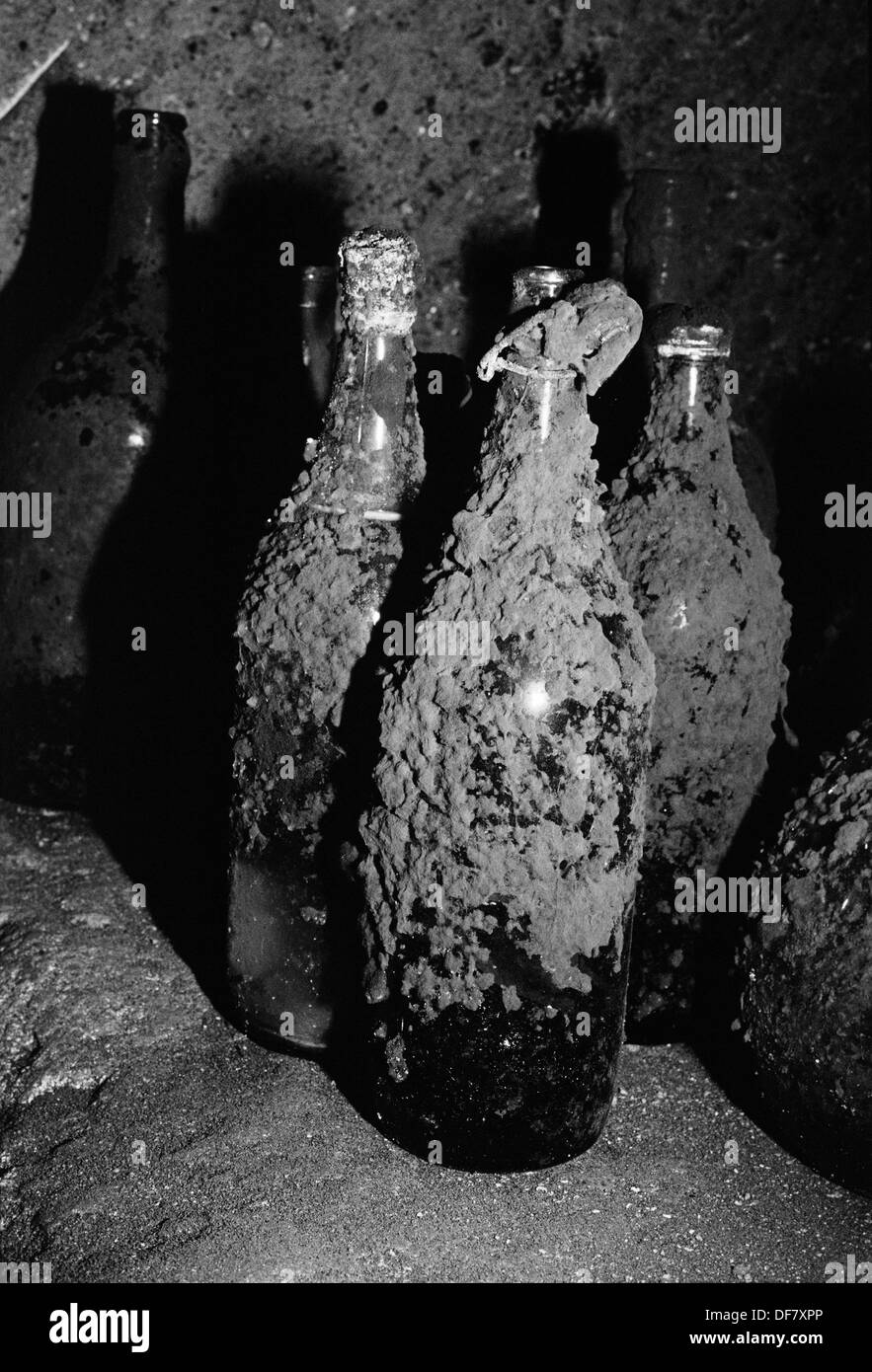 Inside wine cellar Black and White Stock Photos & Images - Alamy