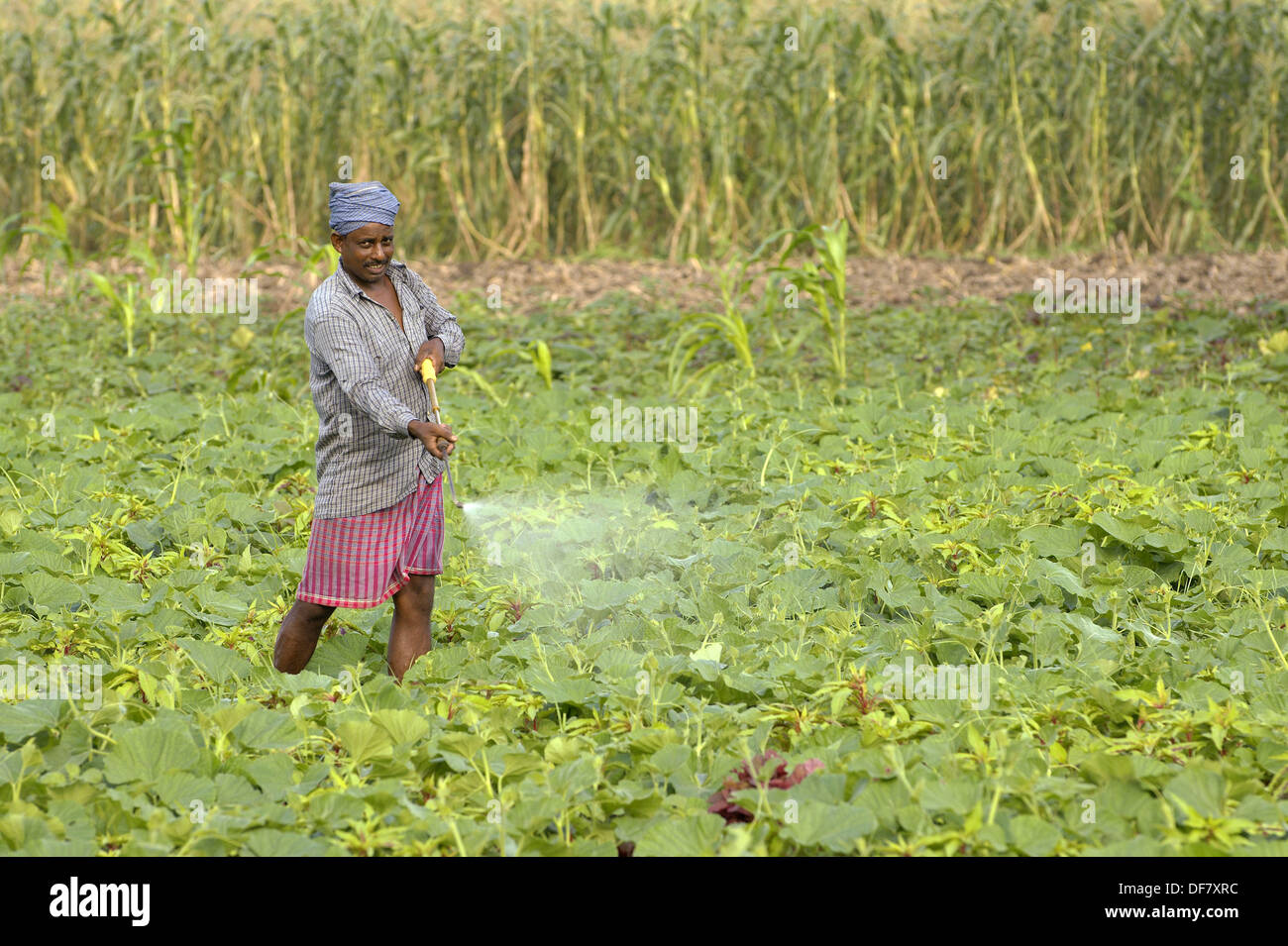 Dhapa High Resolution Stock Photography and Images - Alamy