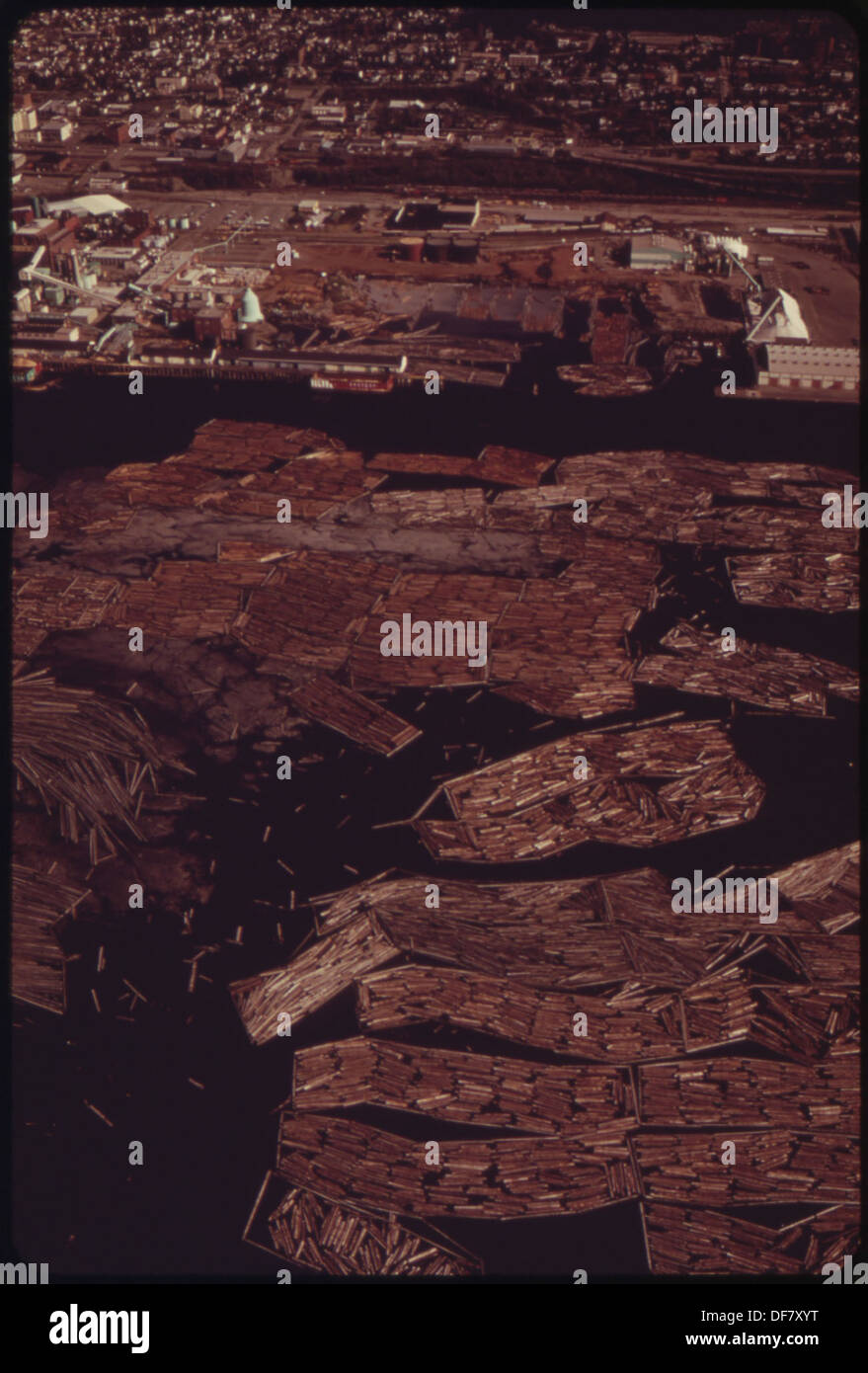 Rafted logs float in Bellingham Bay, located in Puget Sound, Washington ...