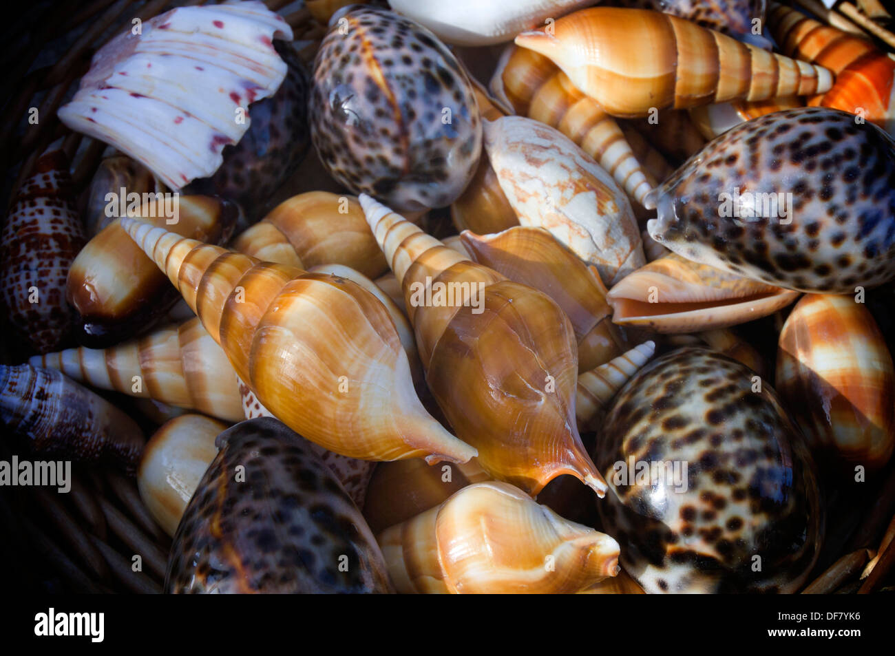 Forefront hi-res stock photography and images - Alamy