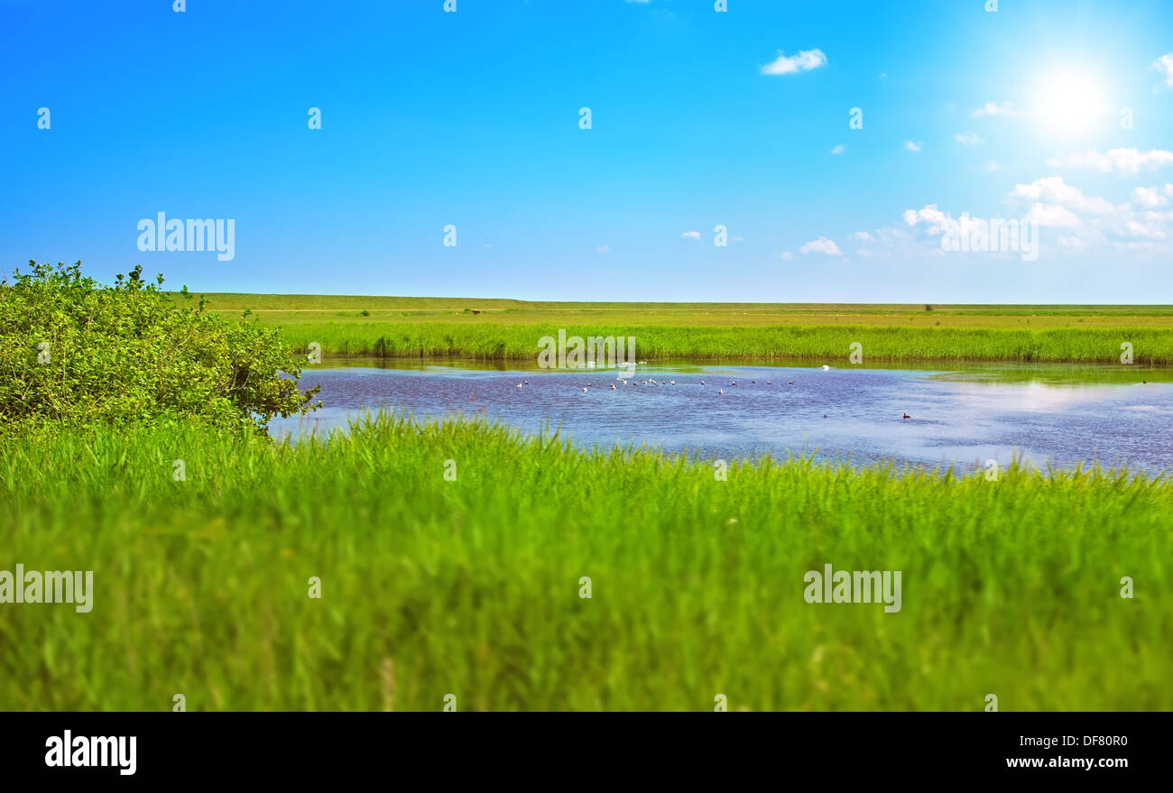 danish summer landscape Stock Photo - Alamy