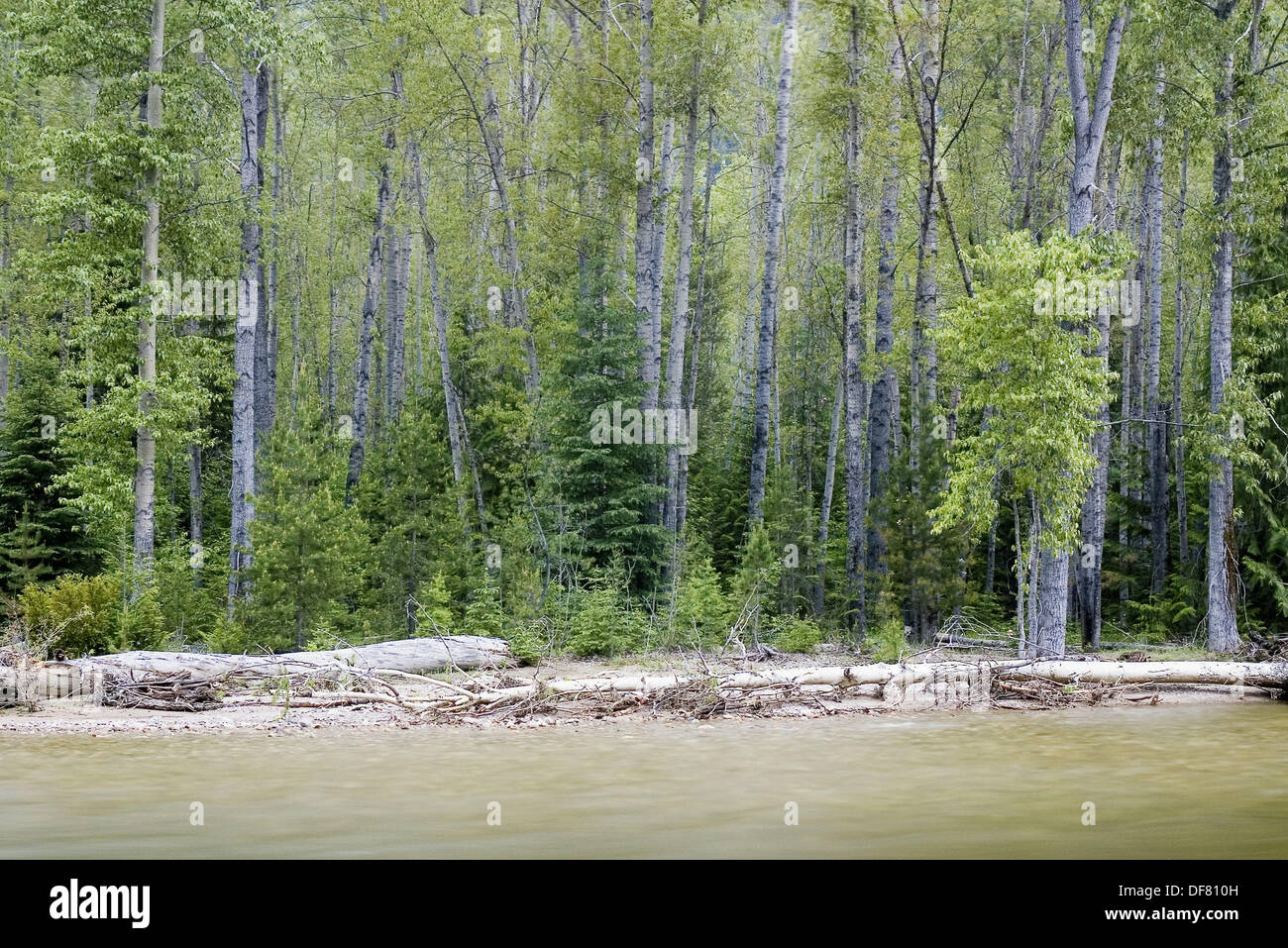 21 may 2005 hi-res stock photography and images - Alamy