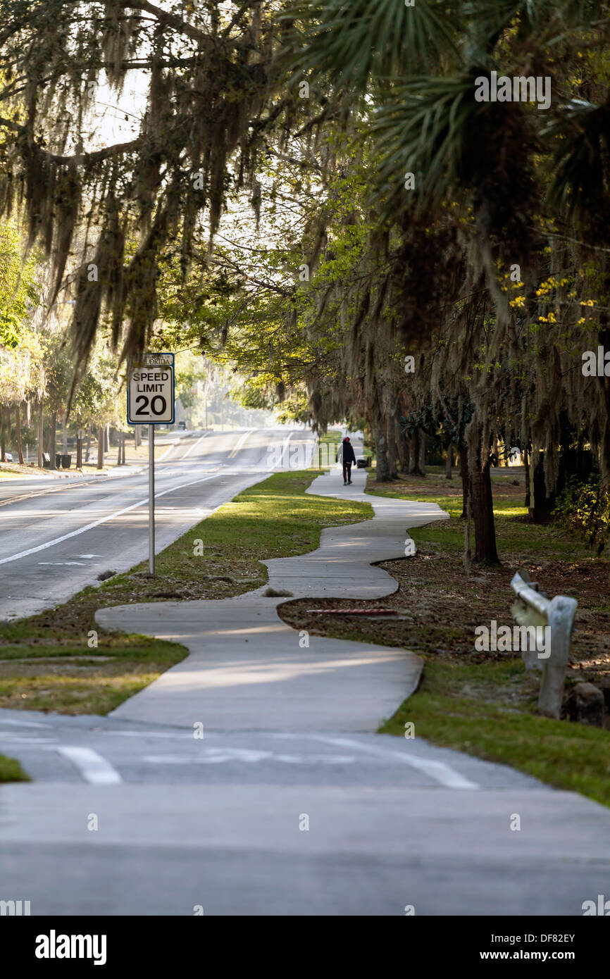 woman walking along tree-lined crooked sidewalk and roadway Stock Photo ...