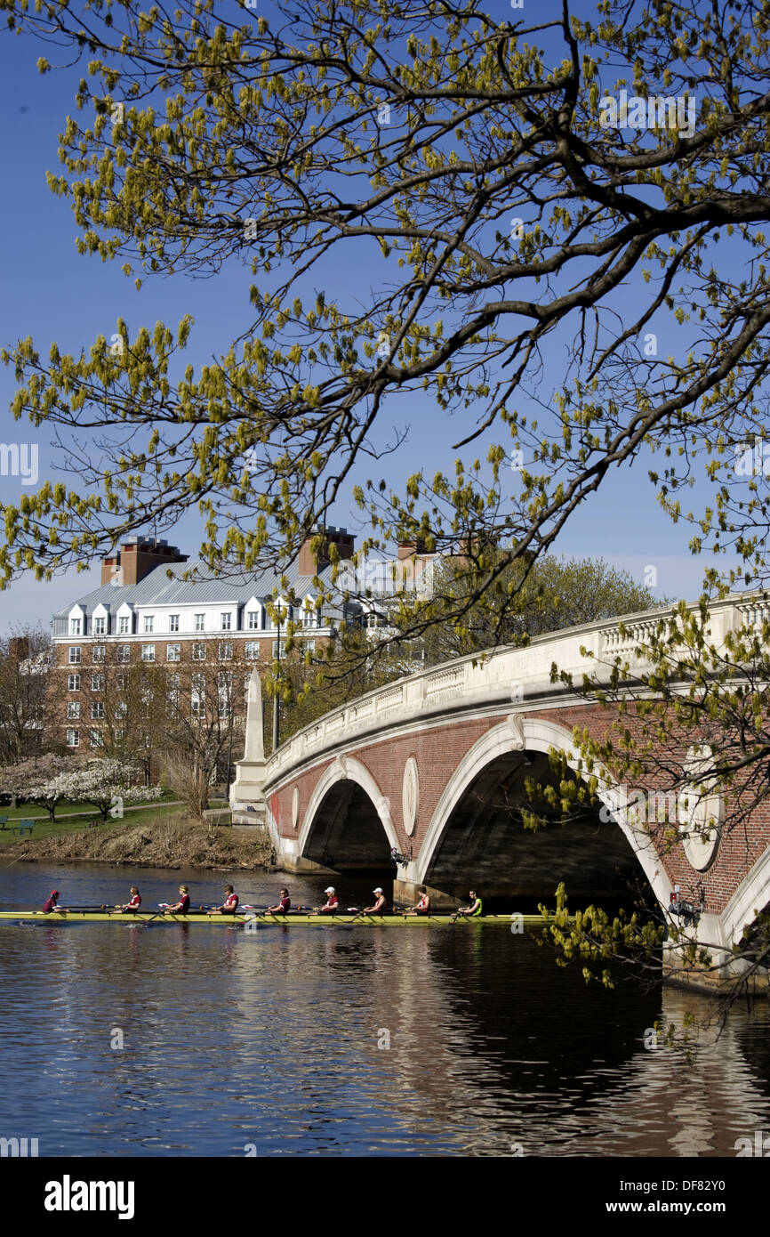 Harvard rowing team hi-res stock photography and images - Alamy