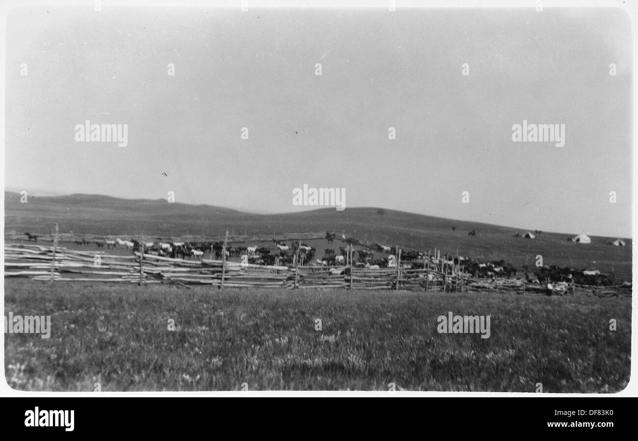 North american cattle ranches Black and White Stock Photos & Images - Alamy