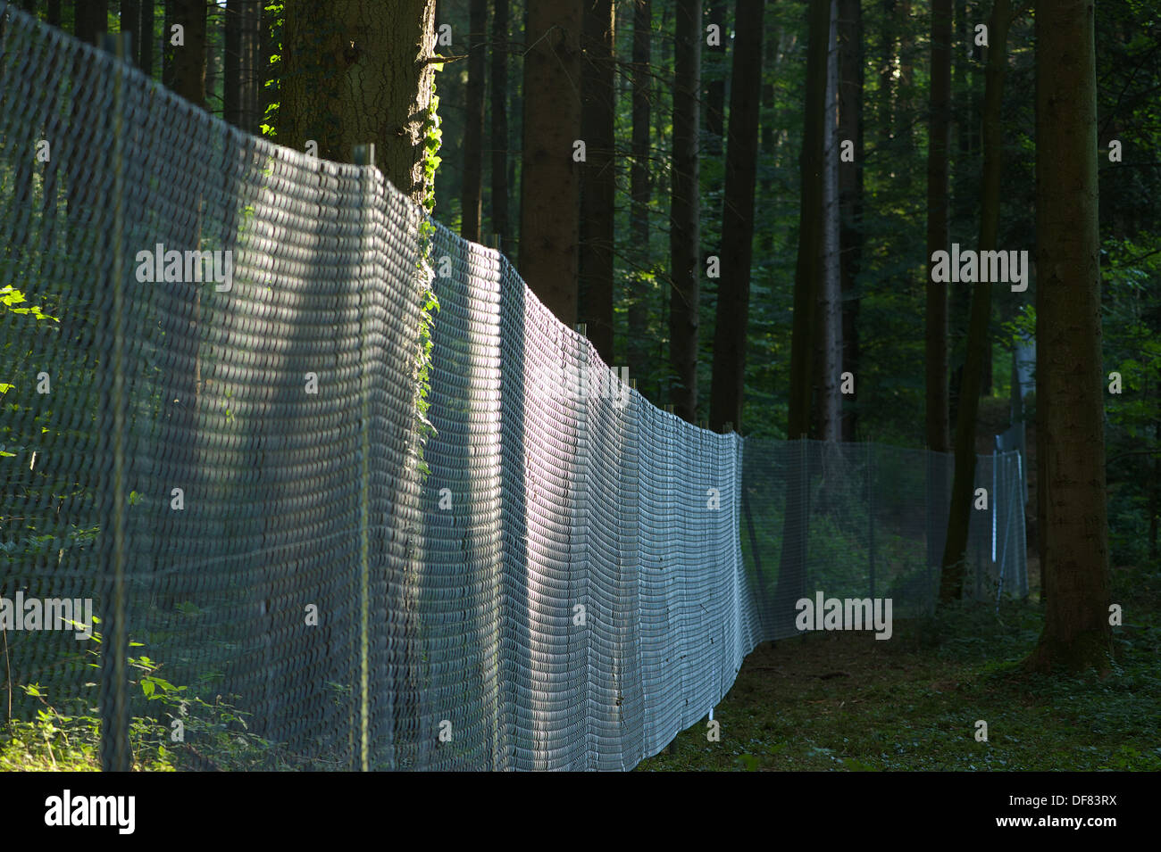 Fence in a forest Stock Photo - Alamy