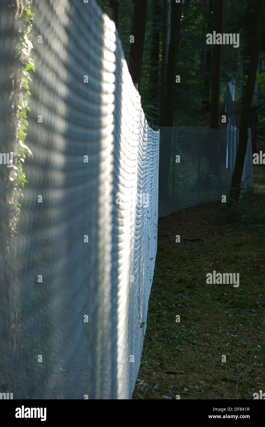 Fence in a forest Stock Photo - Alamy