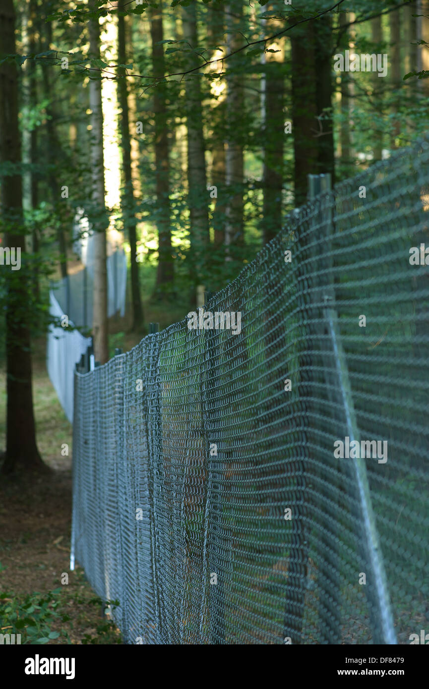 Fence in a forest Stock Photo - Alamy