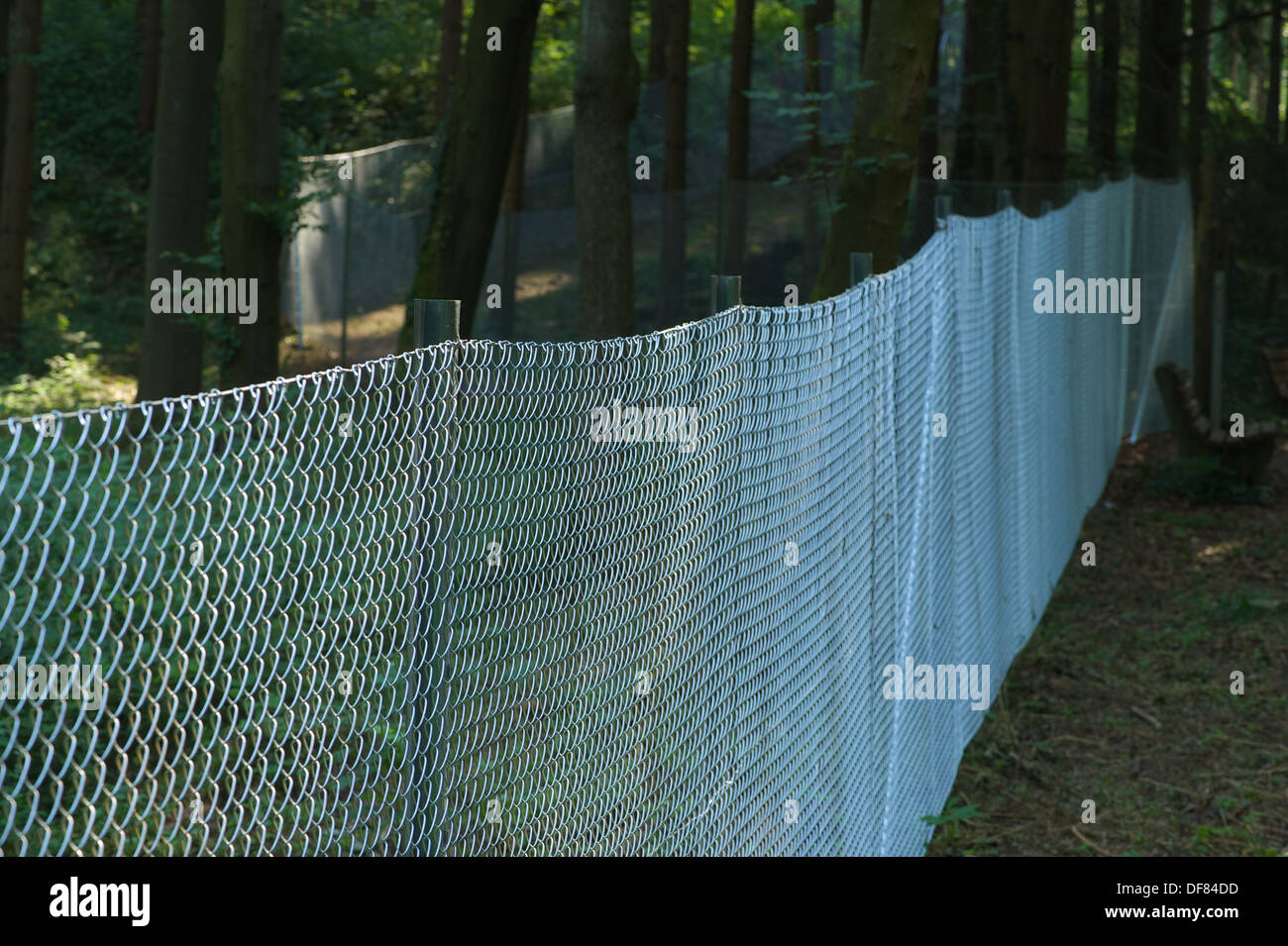 Fence in a forest Stock Photo - Alamy
