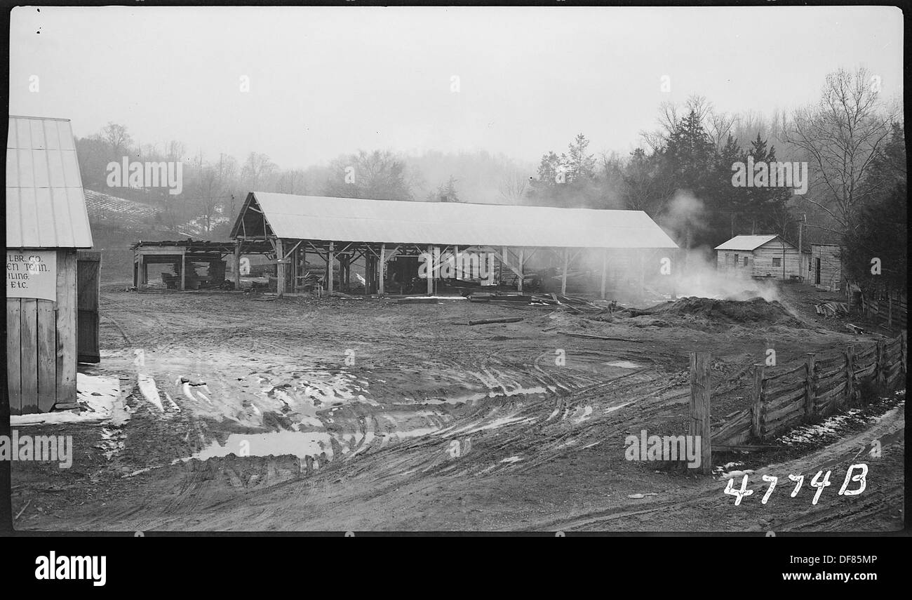 This photograph captures the operation of a sawmill, showcasing the ...
