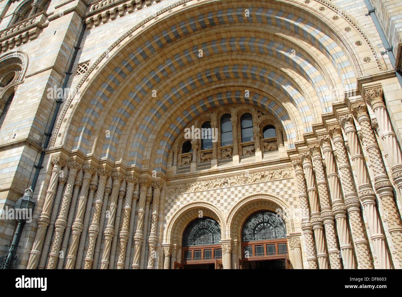 Popular paleontology hi-res stock photography and images - Alamy