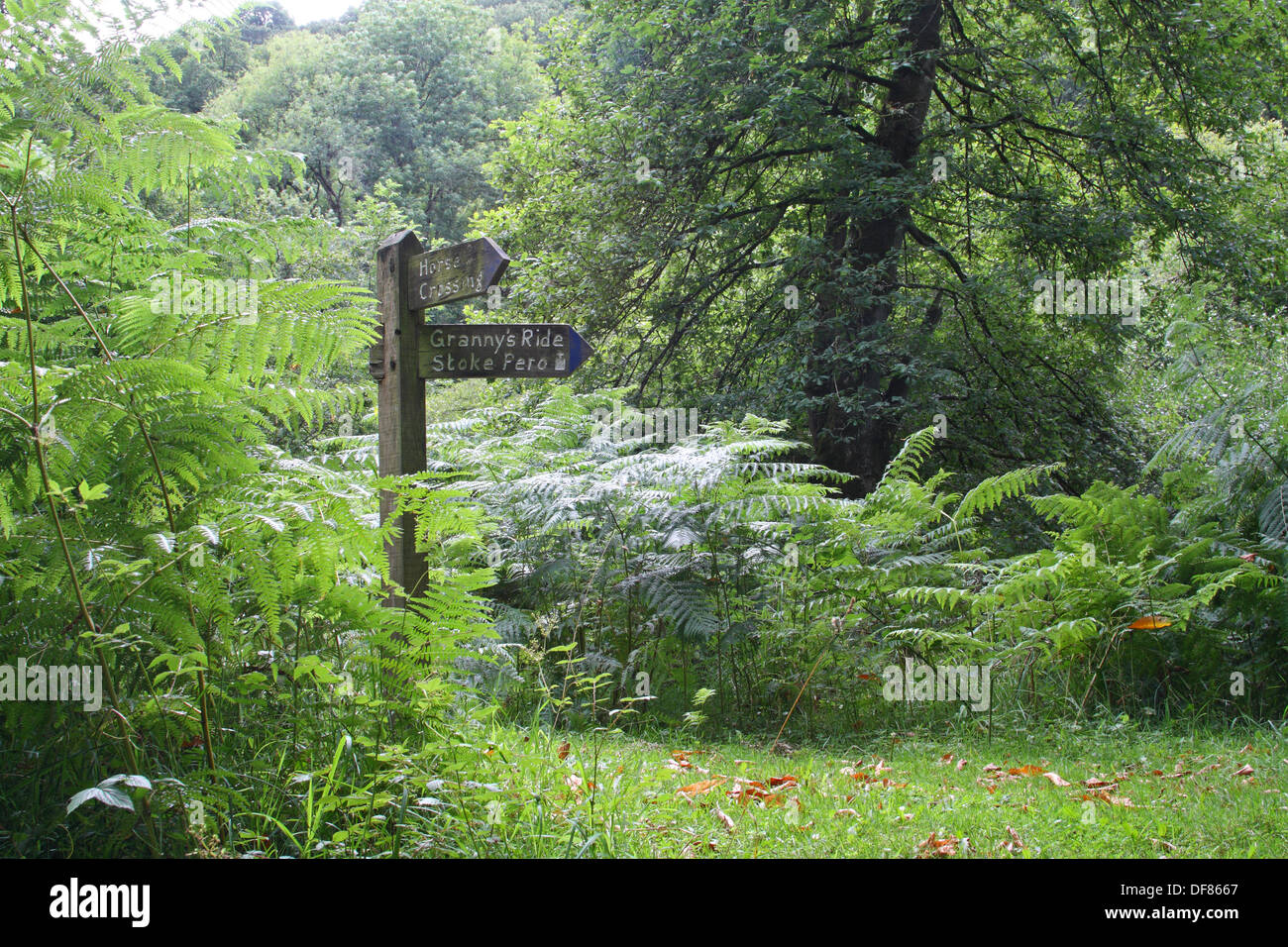 Exmoor National Park, England: Woodland signpost between villages of ...