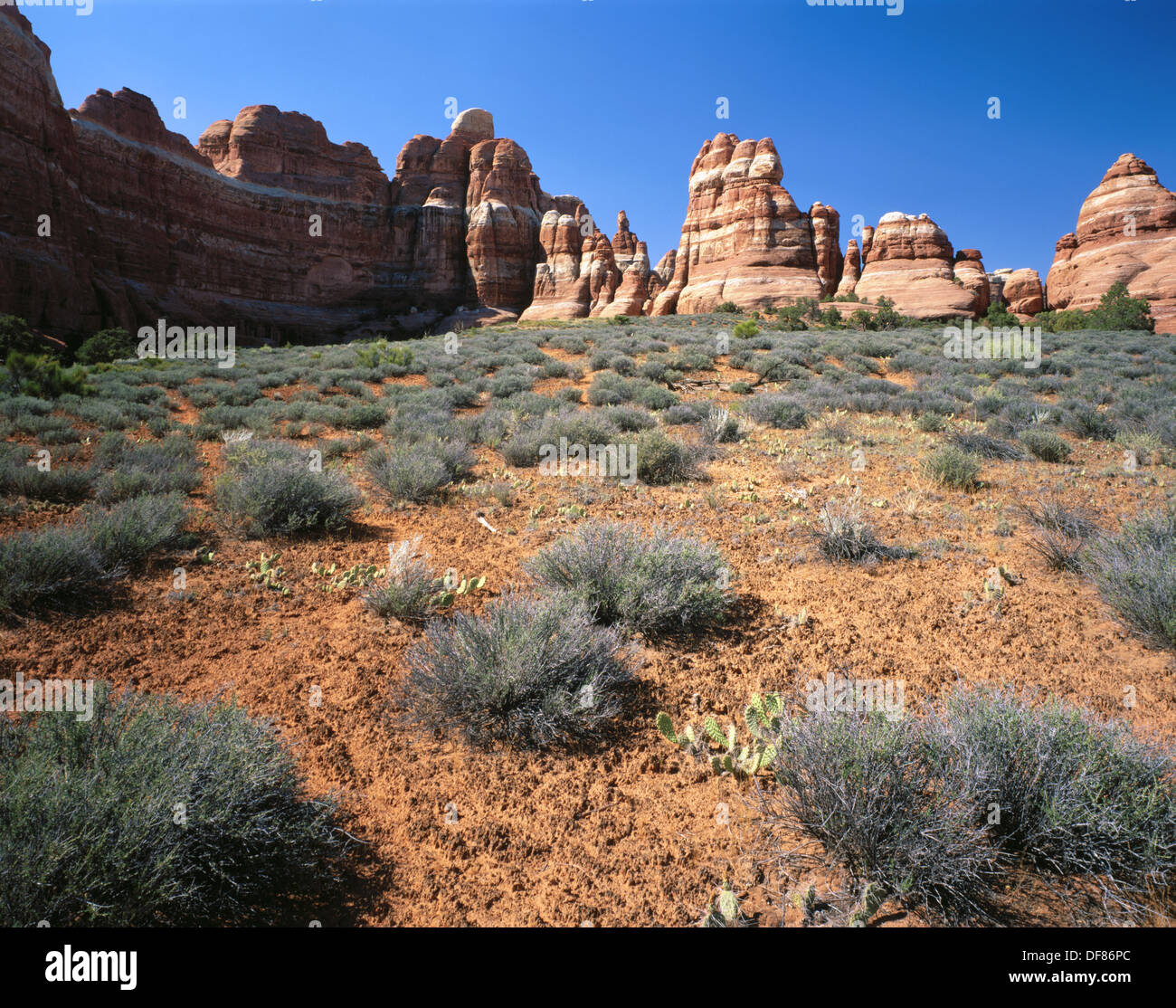 Landscape sagebrush artemisa tridentata hi-res stock photography and ...