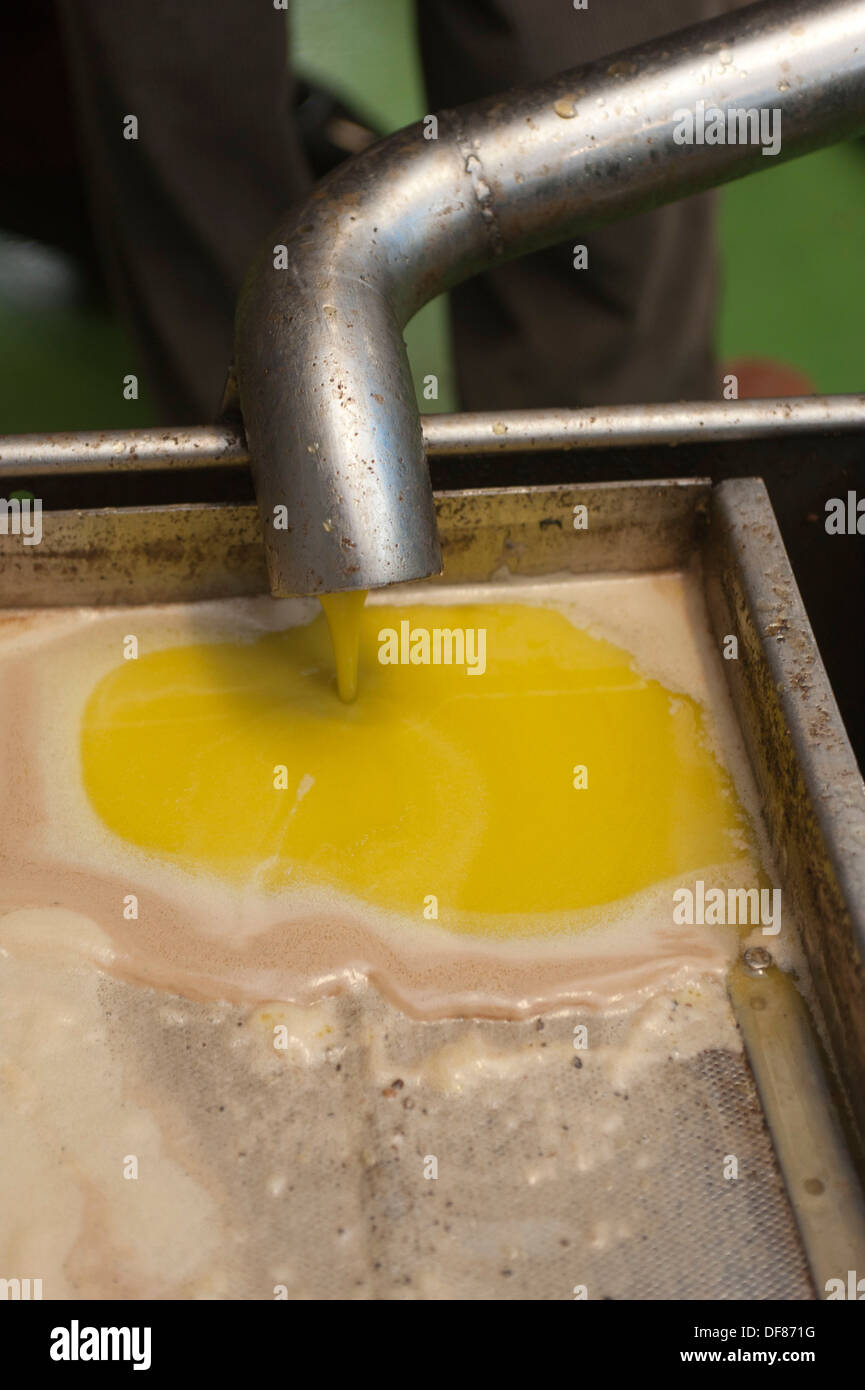 Olive oil cold press hi-res stock photography and images - Alamy
