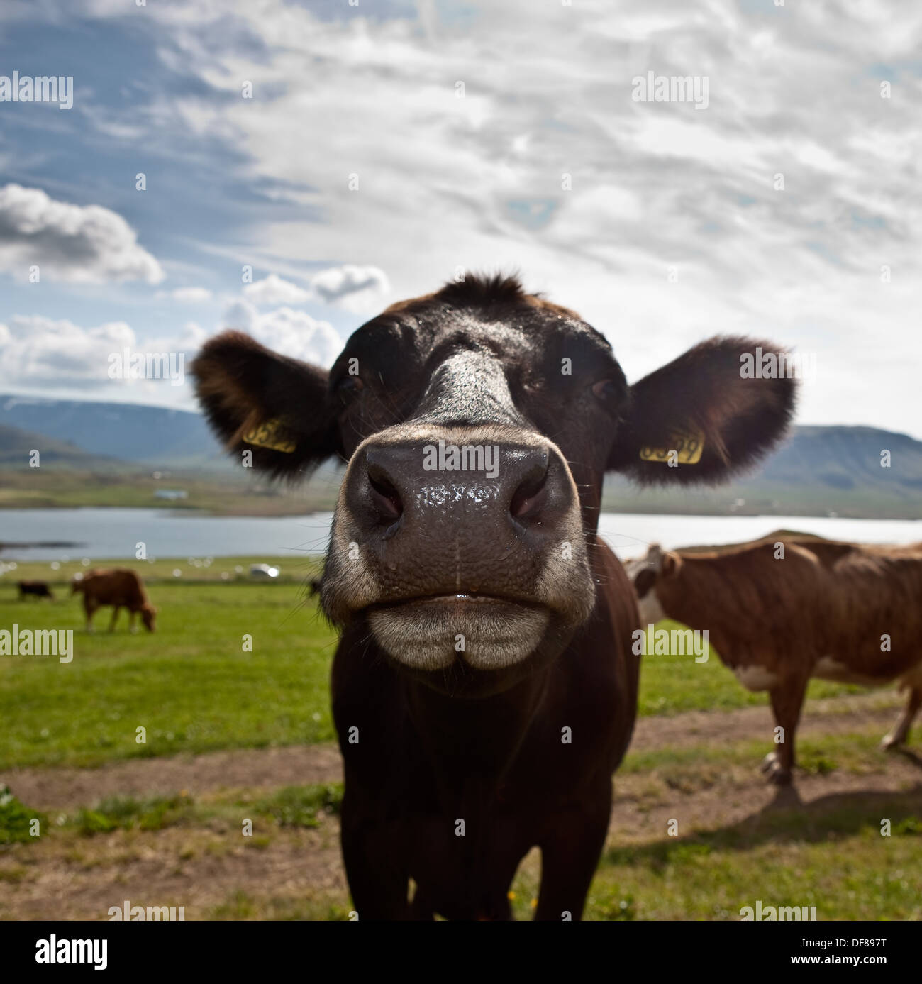 Sslu hi-res stock photography and images - Alamy