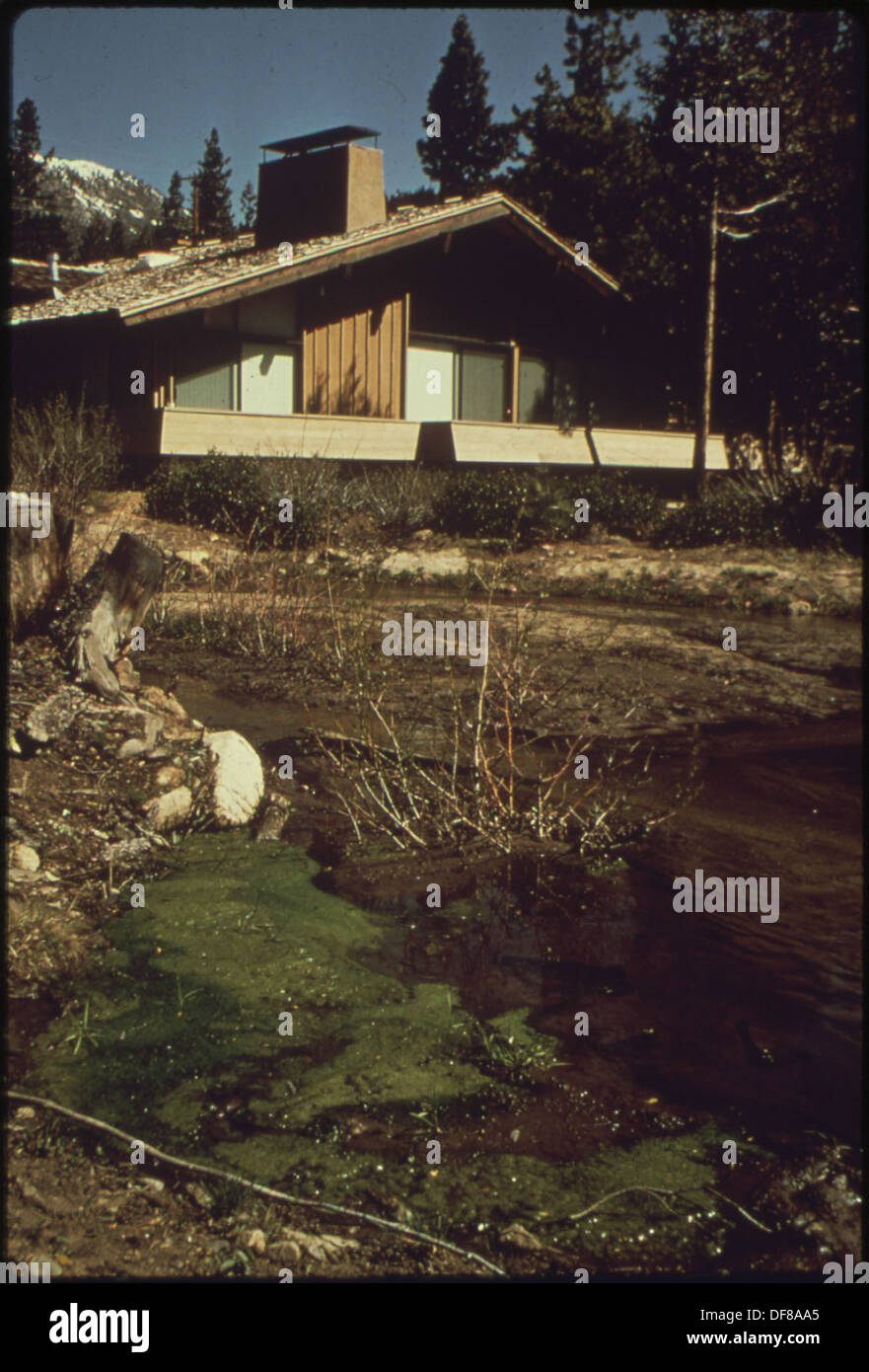 Silt runoff from construction sites causes chemical imbalances in ...