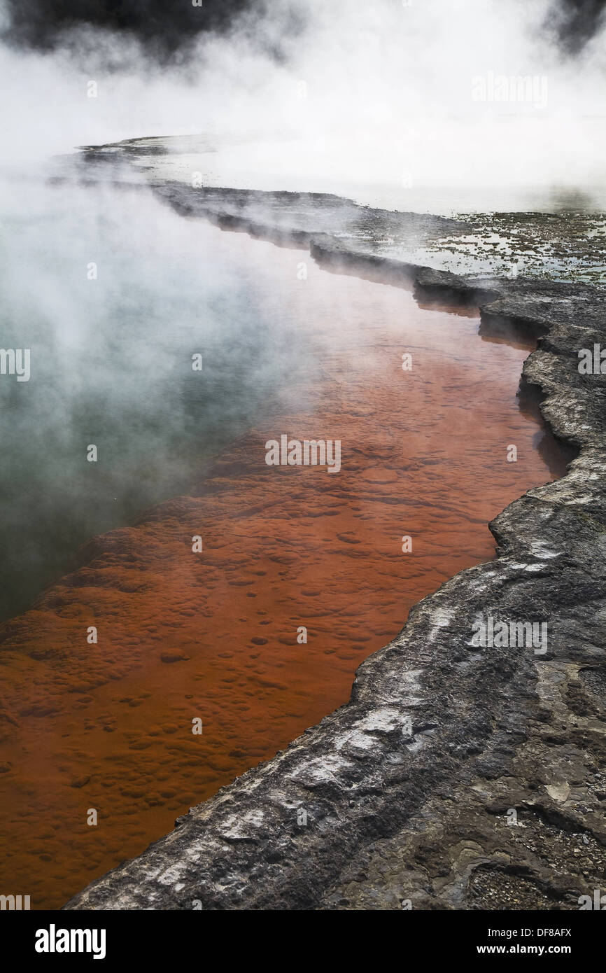 Reporoa hi-res stock photography and images - Alamy