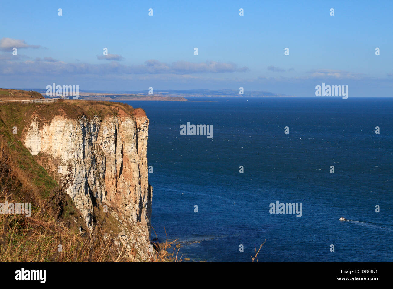 Bempton Cliffs RSPB nature reserve, East Yorkshire, England, UK Stock ...