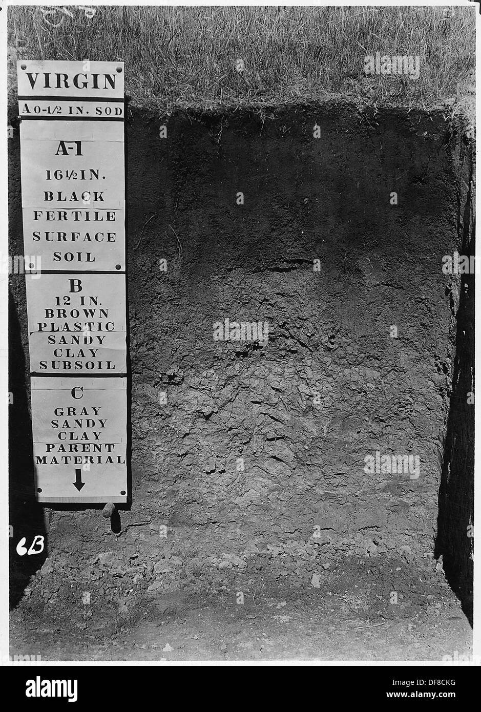 Profile showcasing Black and White Stock Photos & Images - Alamy