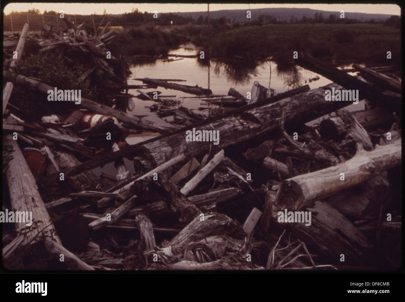 This image shows solid waste being dumped into a roadside pond in the ...