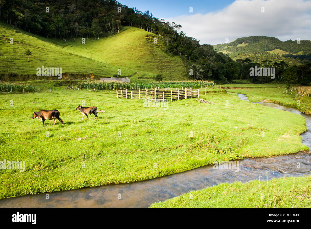 Rural landscape in Santa Catarina state, southern Brazil. Aguas Mornas ...