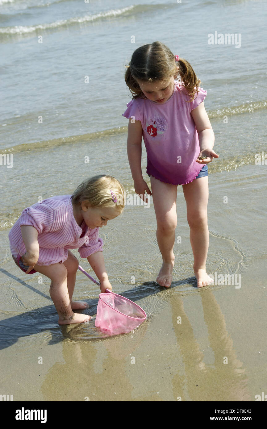 Child girl collecting sea shells hi-res stock photography and images ...
