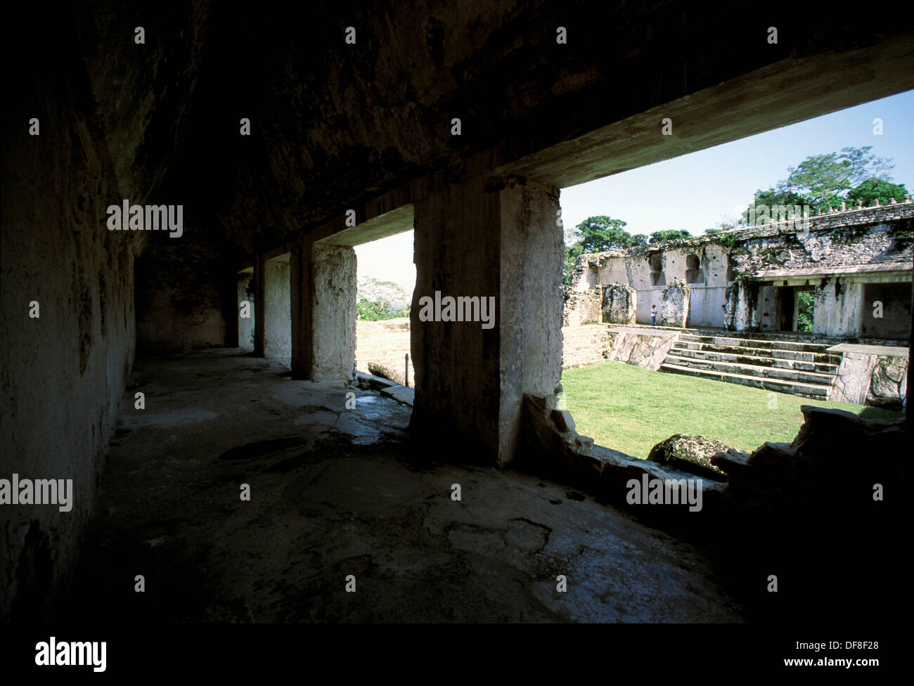 Mayan ruins. Chiapas. Mexico Stock Photo - Alamy