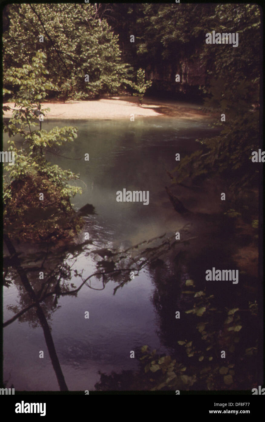 Spring waters trapped in a natural trough between high ridges at Ha Ha ...