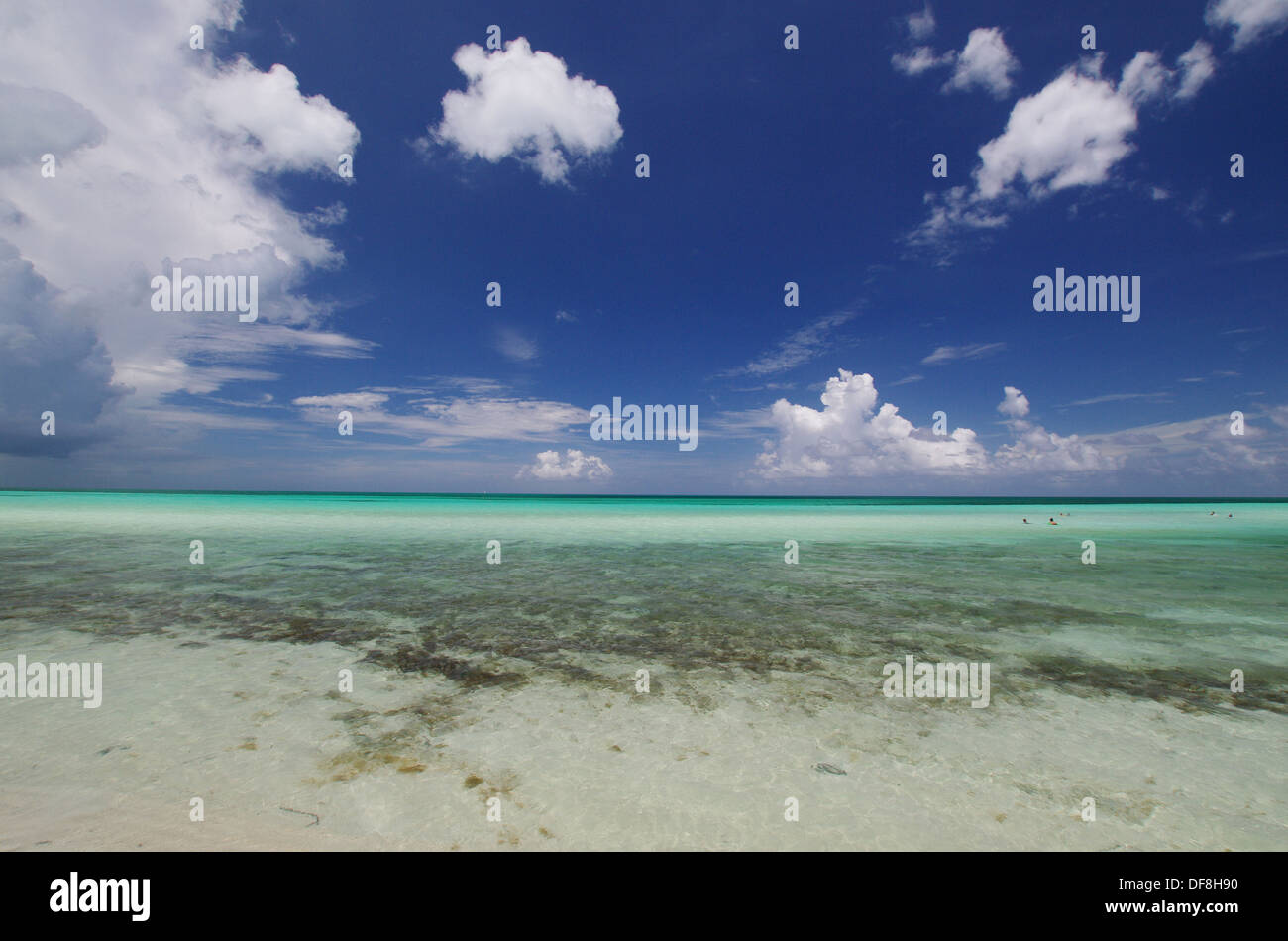 Beautiful beach in Cayo Coco, Cuba Stock Photo - Alamy