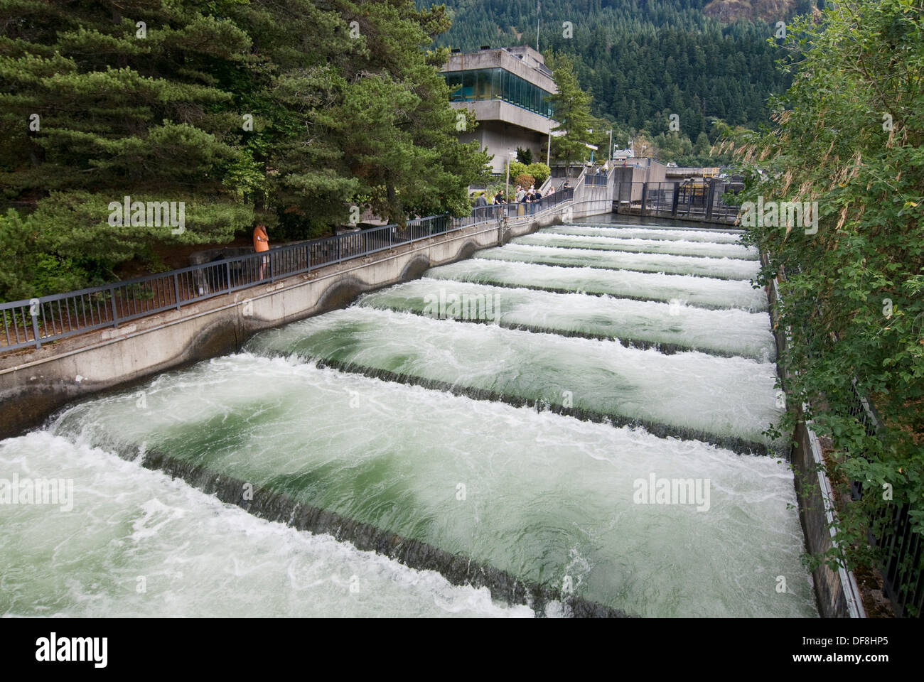 Dam with fish ladder hi-res stock photography and images - Alamy