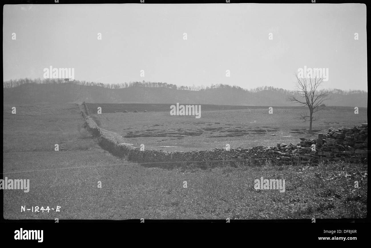 This image depicts a stone fence on a farm, an example of traditional ...