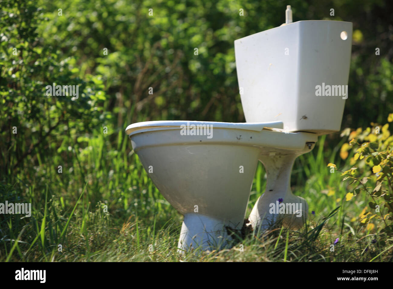 Ecology. Old toilet bowl lying discarded on the nature in forest ...