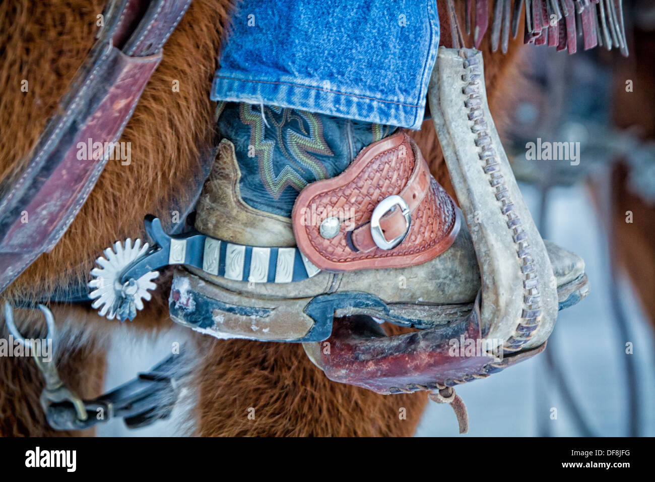 Riding boots with spur hi-res stock photography and images - Alamy