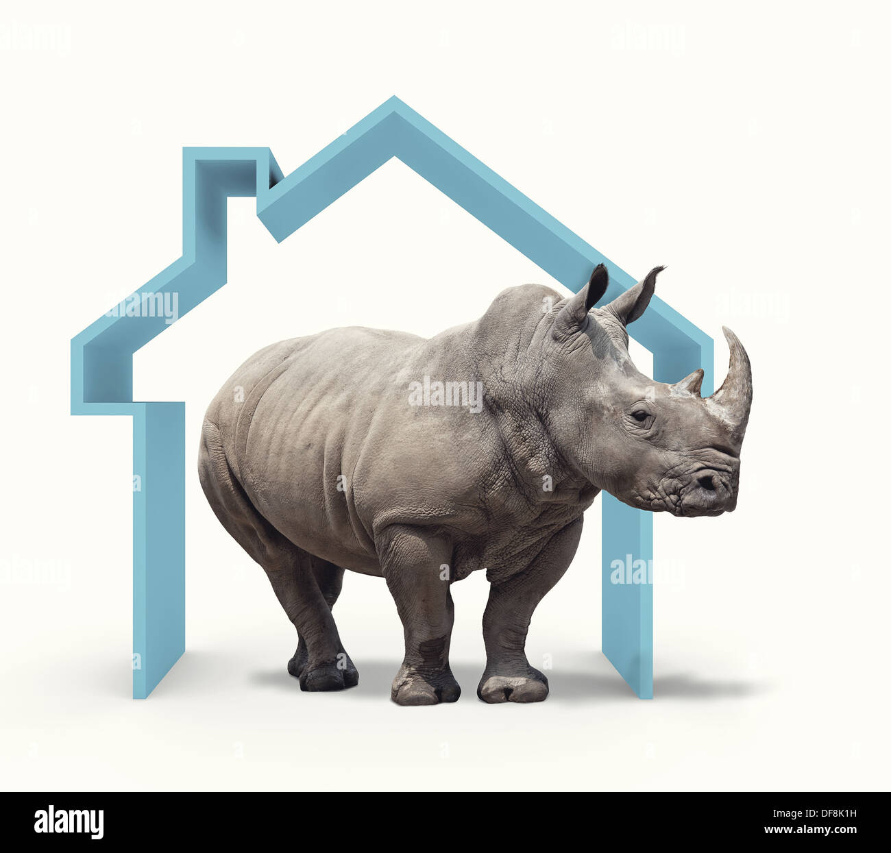 3d house concept and rhino Stock Photo - Alamy