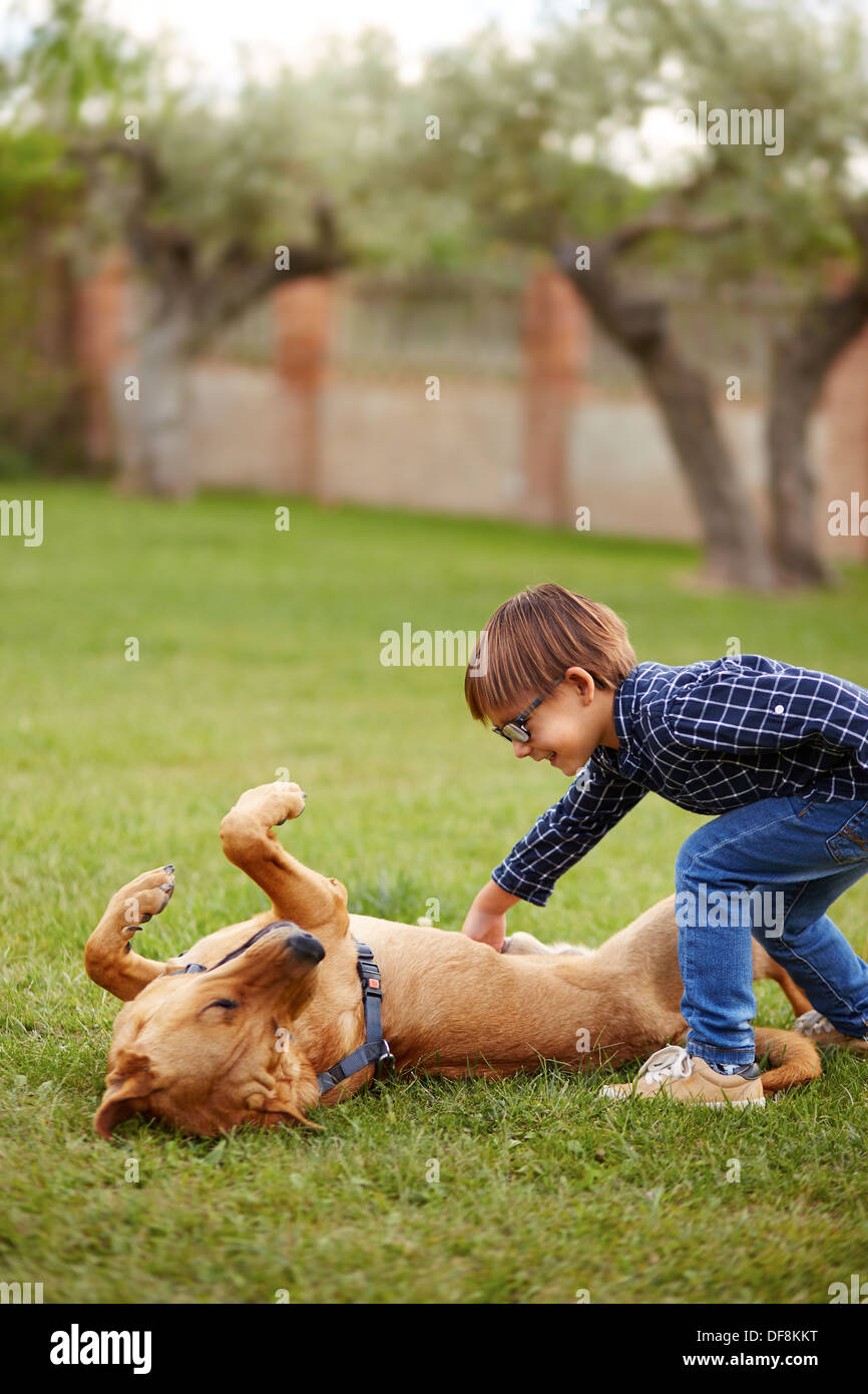 Little boy playing with a dog in the grass Stock Photo - Alamy