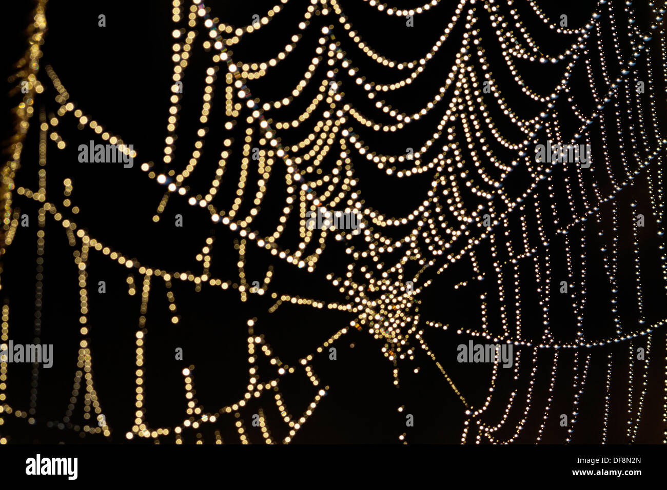 abstract background from a web shine in the sun Stock Photo - Alamy
