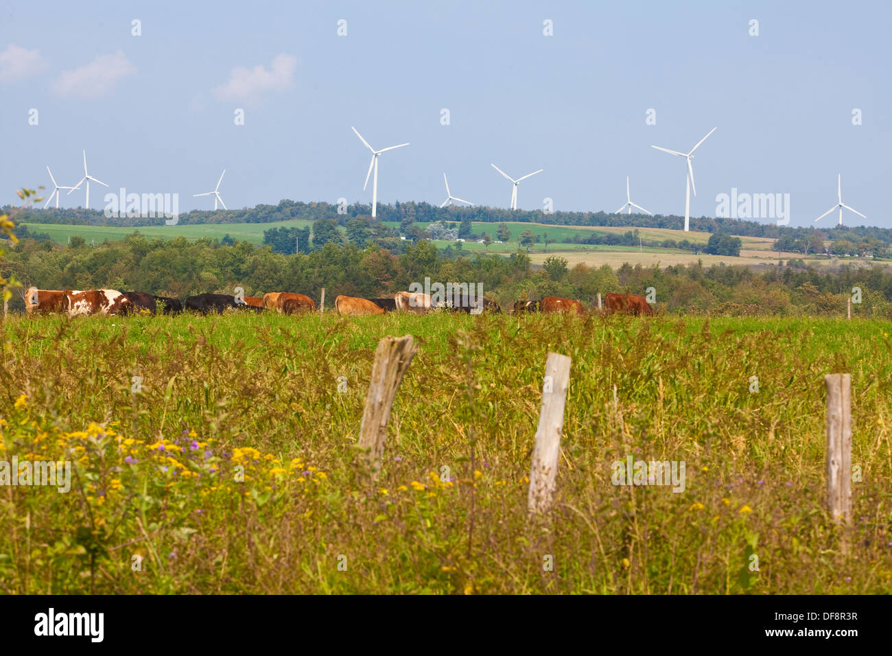 Enel wind farm hi-res stock photography and images - Alamy