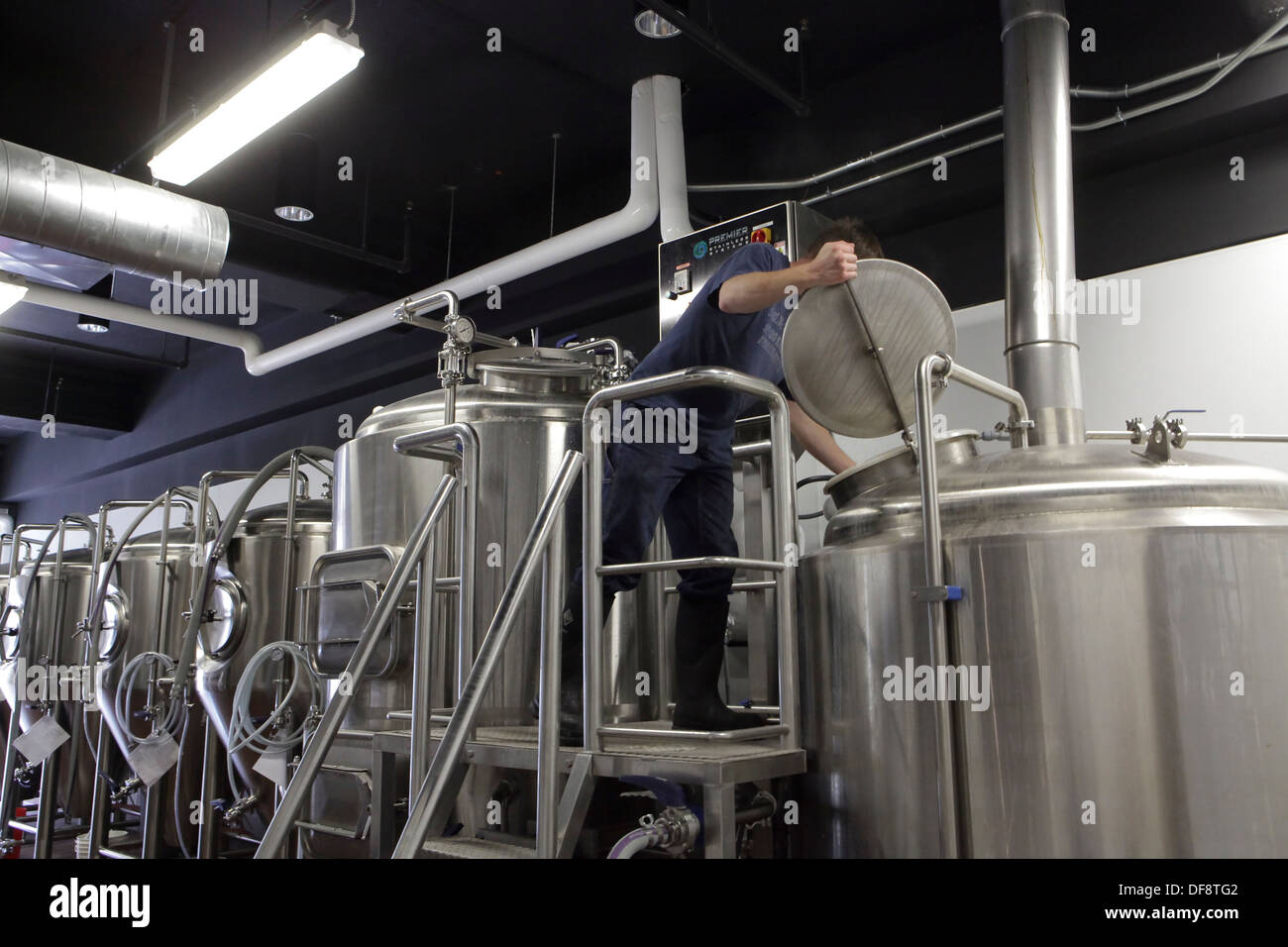 Master Brewer of Galaxy Brewing Co. micro-brewery looks into a tank in ...