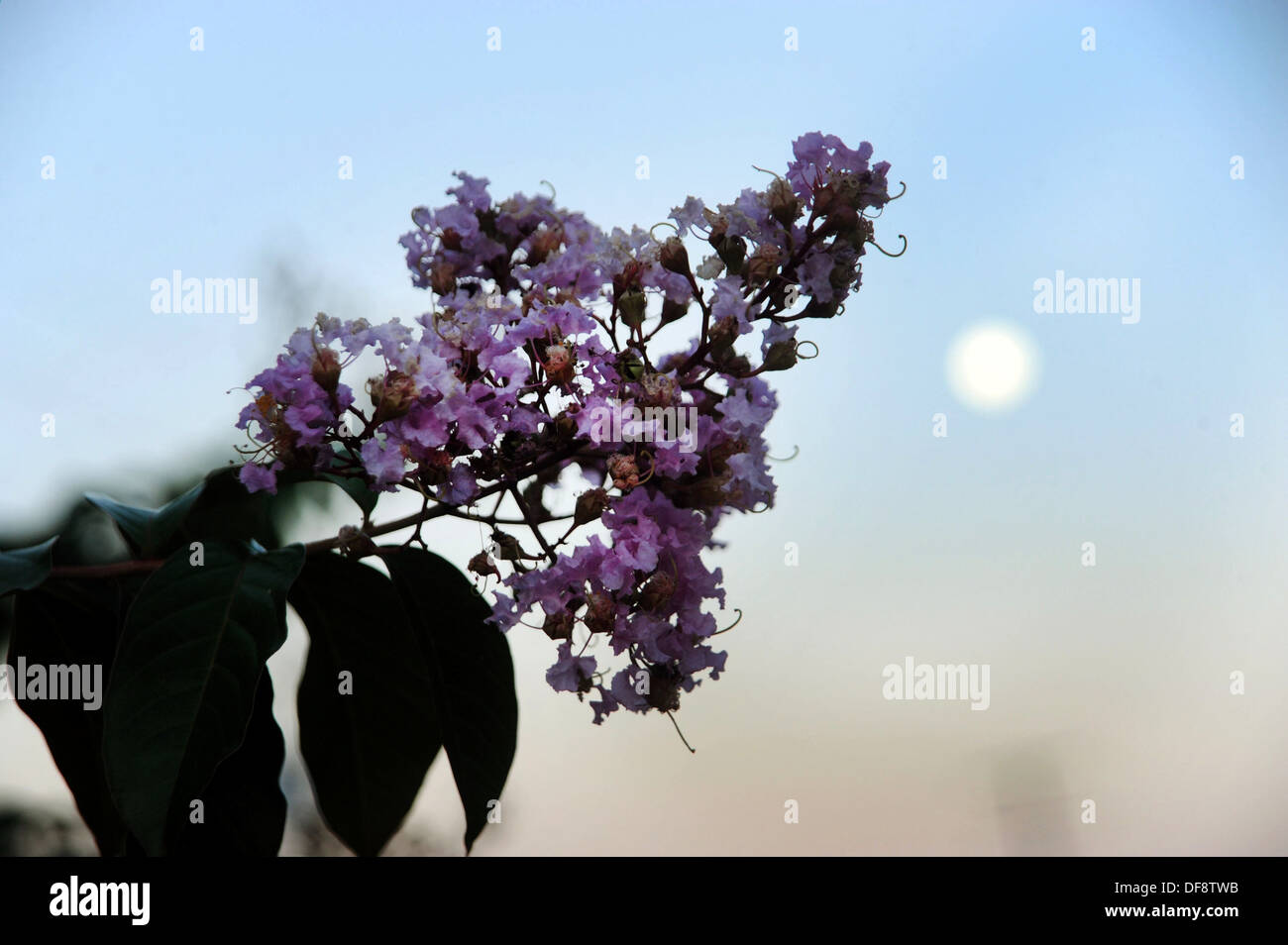 Nasagoddard High Resolution Stock Photography and Images - Alamy