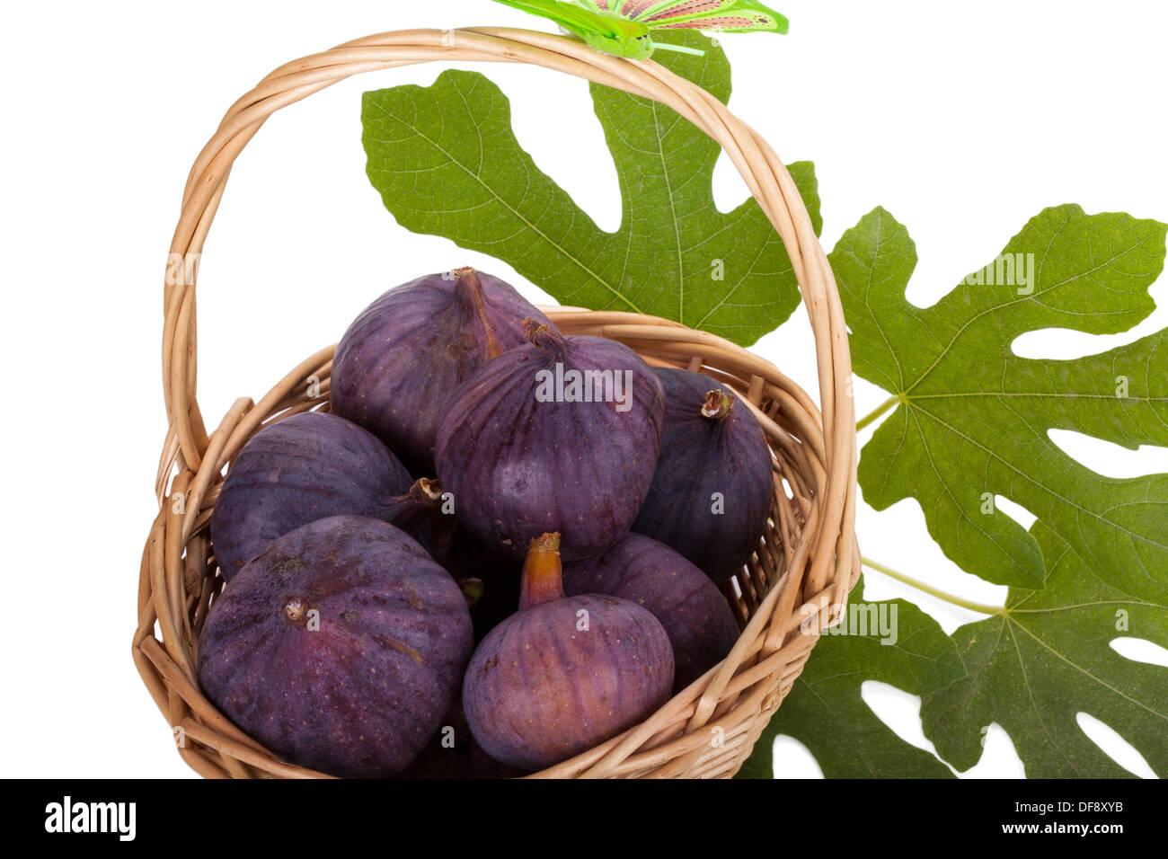 Busket of fresh figs with leaves isolated on white background Stock ...