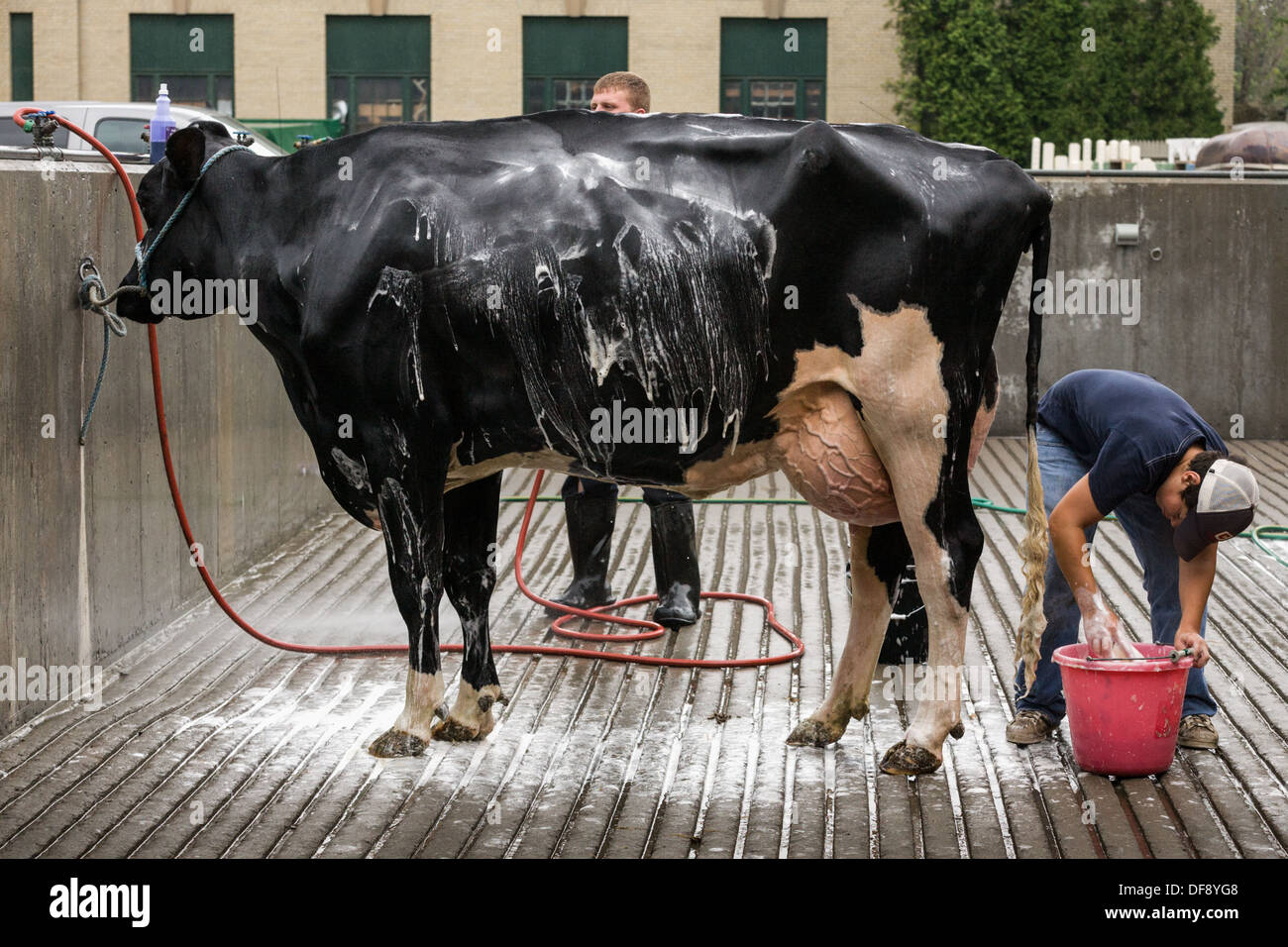State fair food booth hi-res stock photography and images - Alamy