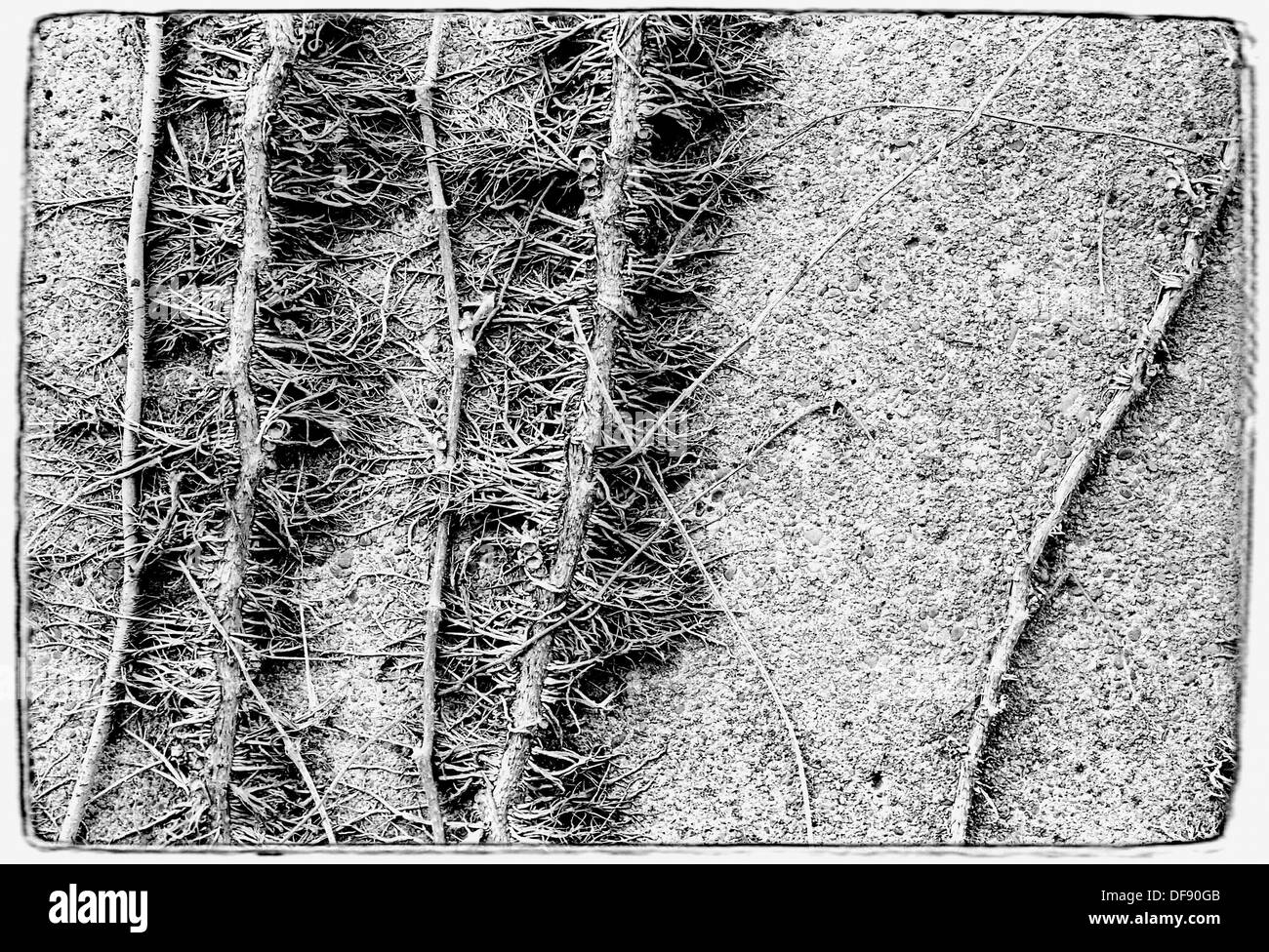 Wall of the dead hi-res stock photography and images - Alamy