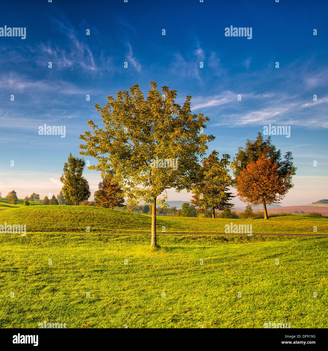 Fairway sunset hi-res stock photography and images - Alamy