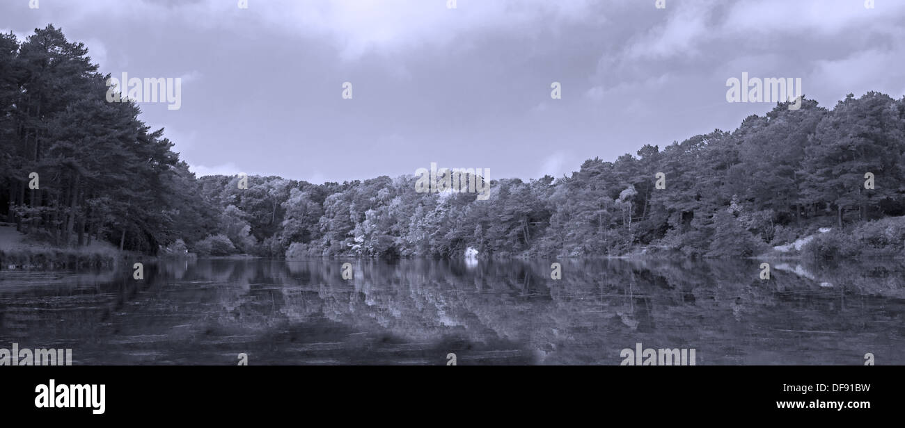 A panoramic Landscape view of the Blue Pool at Furzebrook, near Wareham ...