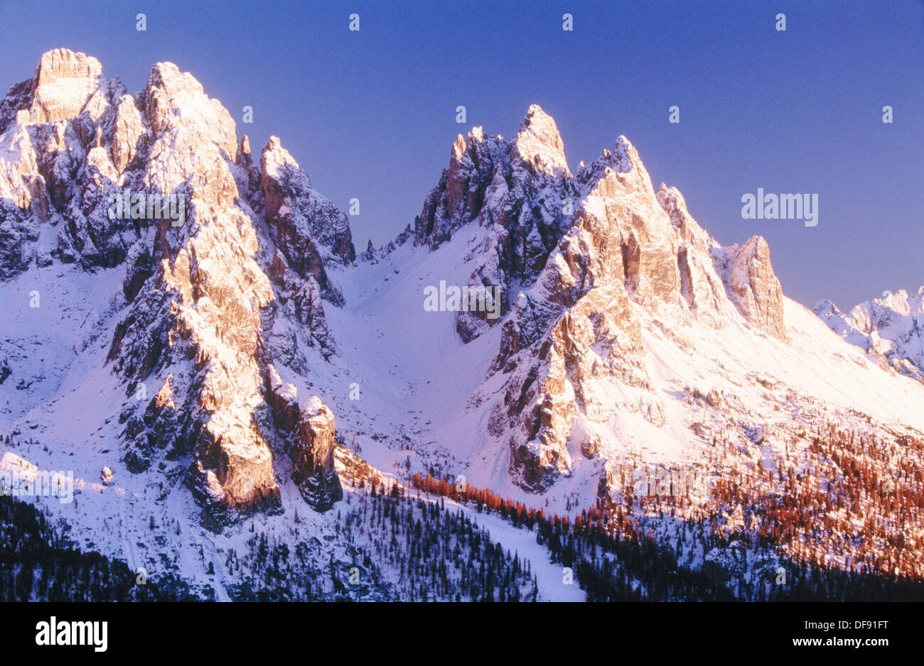 Cadin group hi-res stock photography and images - Alamy