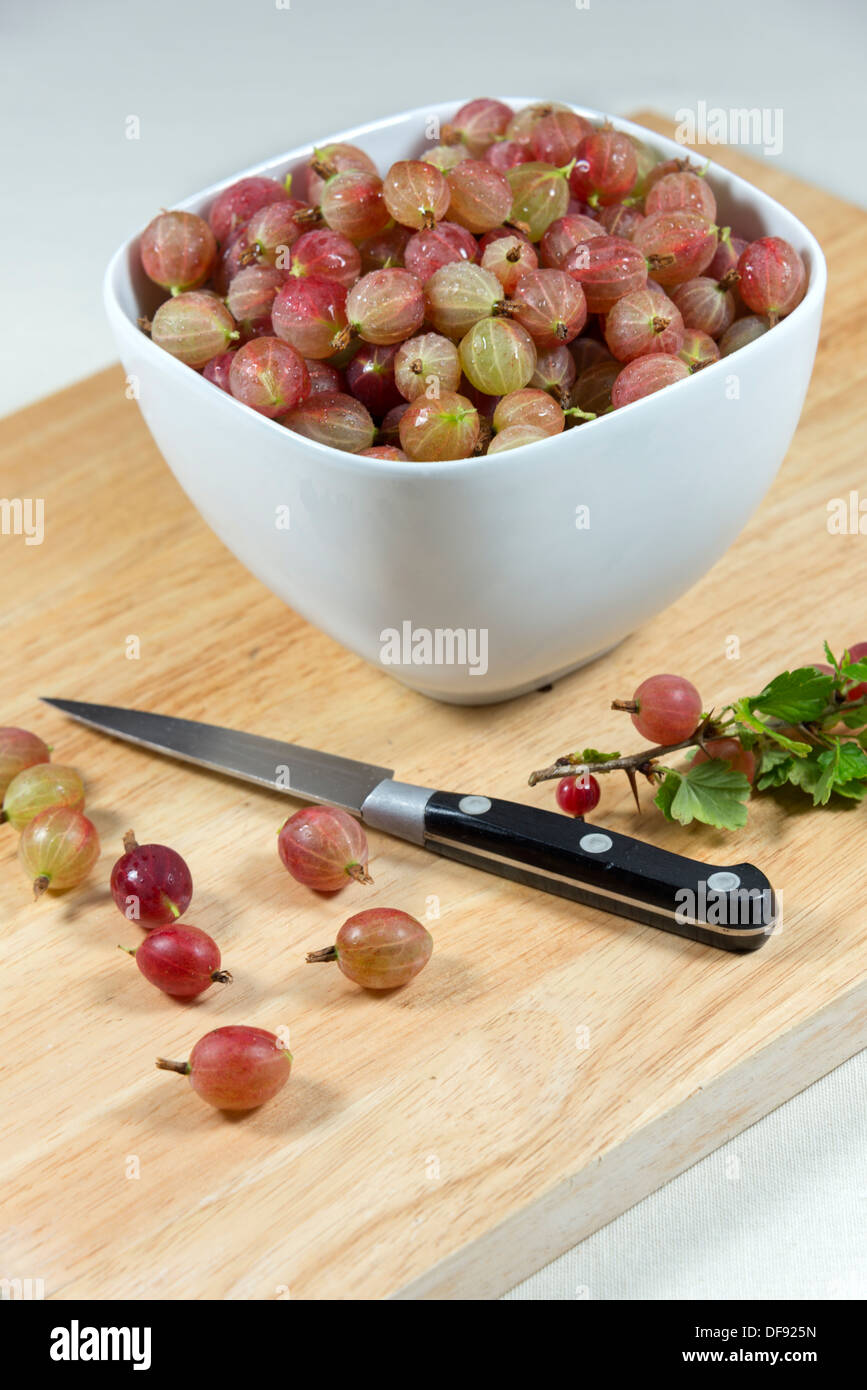 White bowl of red gooseberries ready for cooking Stock Photo - Alamy